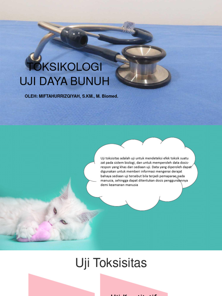 Uji Toksisitas-Dikonversi | PDF