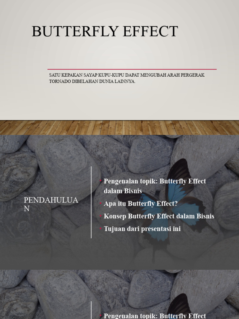 Butterfly Effect | PDF