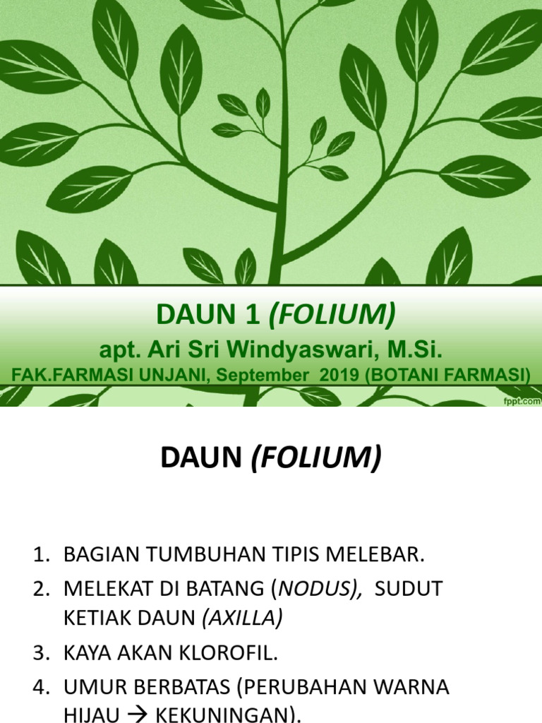 Daun (Folium) 1 2020 | PDF