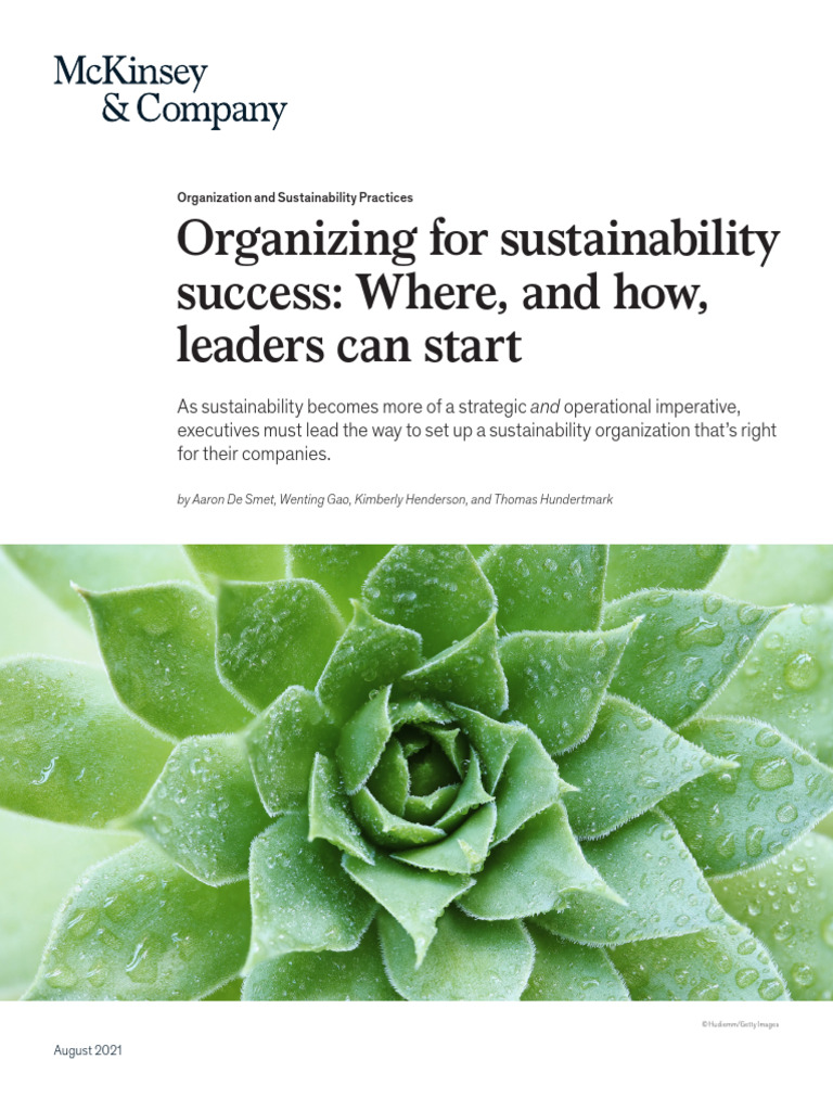 Organizing For Sustainability Success Where and How Leaders Can Start ...