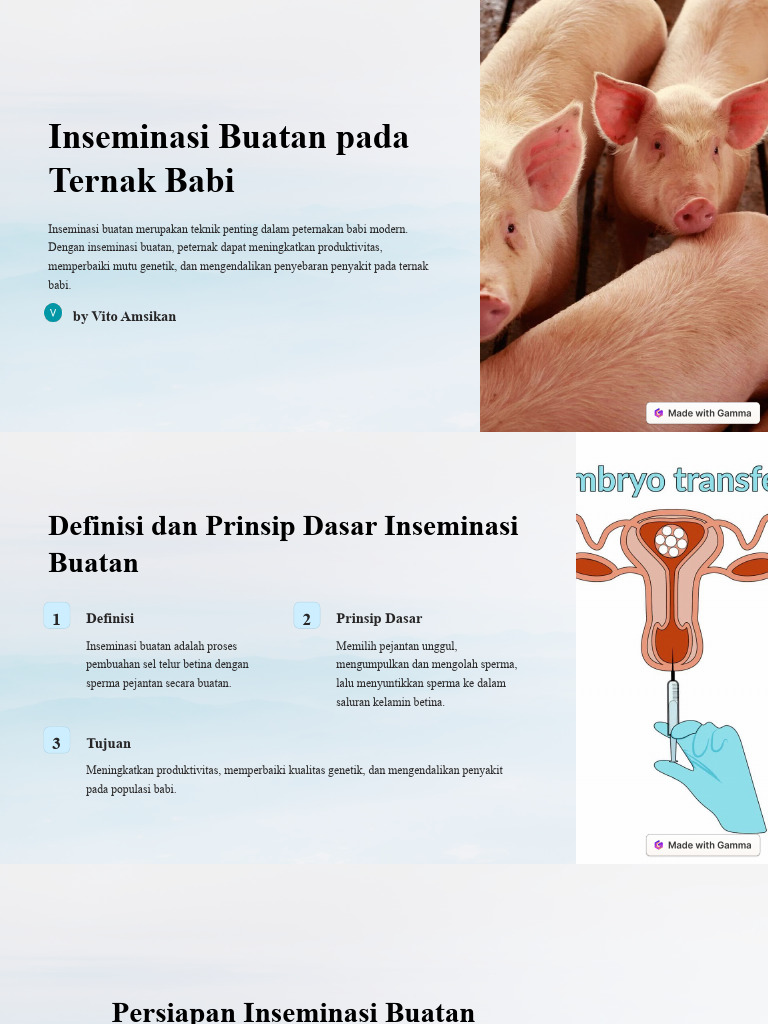 Inseminasi Buatan Pada Ternak Babi | PDF