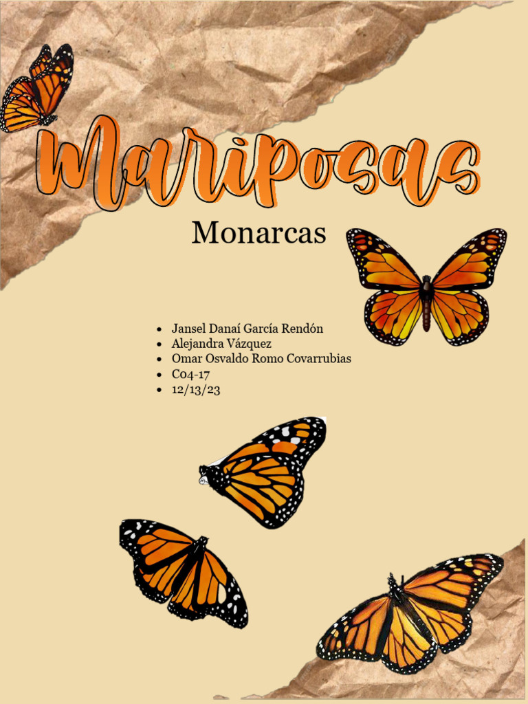 Mariposas | PDF | Lepidópteros | Zoología