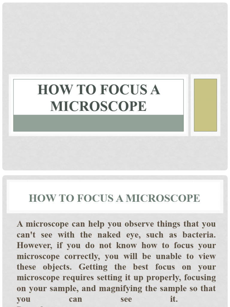 How To Focus A Microscope | PDF | Cell (Biology) | Eukaryotes