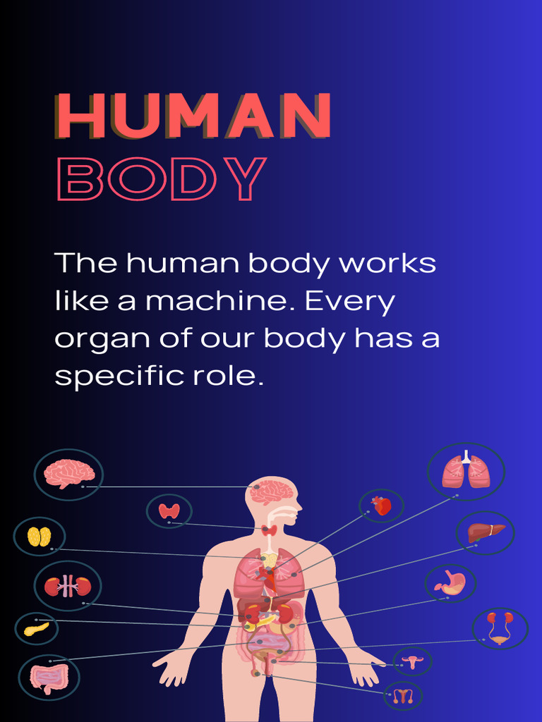 Human Body | PDF