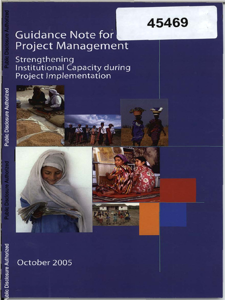 Strengthening Institutional Capacity in Projects | PDF | Capacity ...