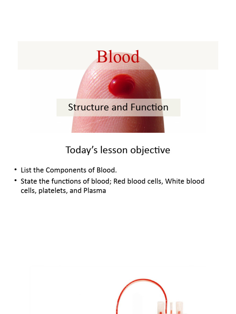 Blood | PDF | Science & Mathematics