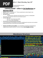 FMS Corrective Exercises | PDF | Human Leg | Anatomical Terms Of Motion