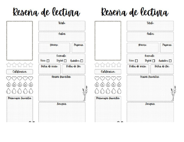 Registro de Libros | PDF