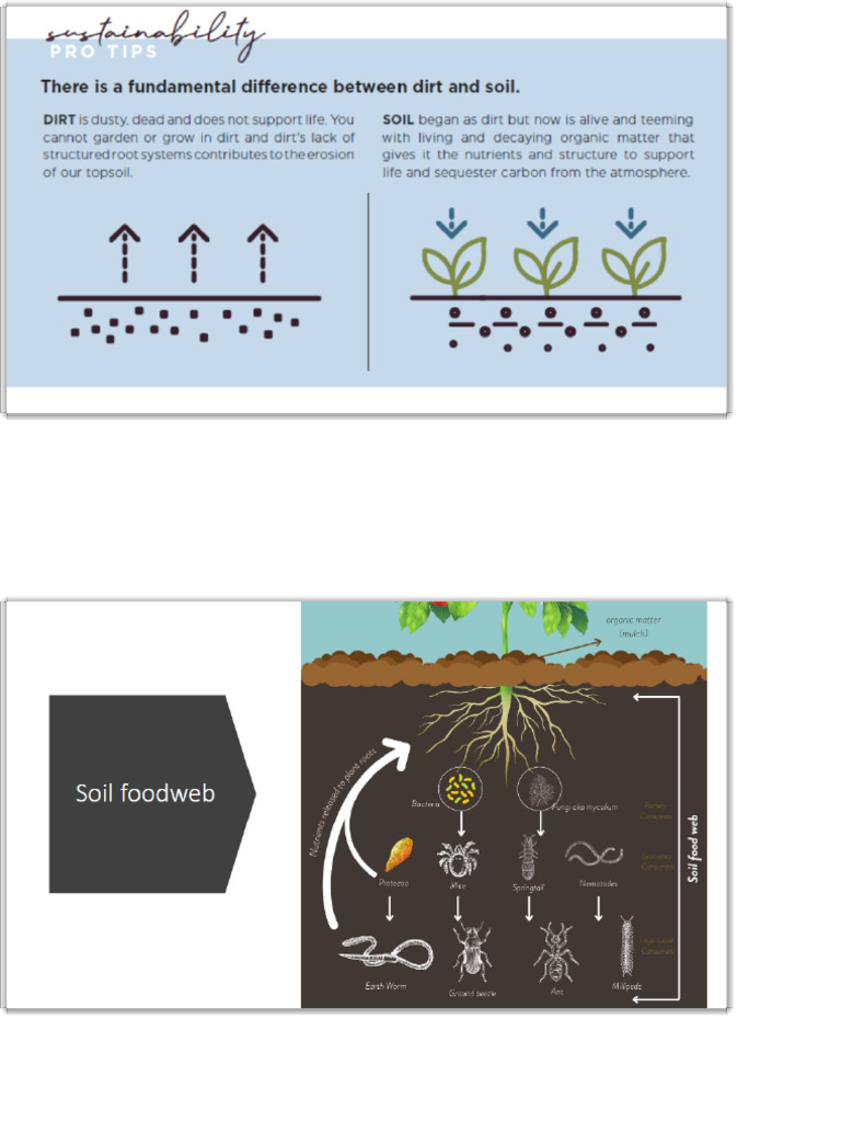 Differences Decay Dirt Soil Decompose | PDF
