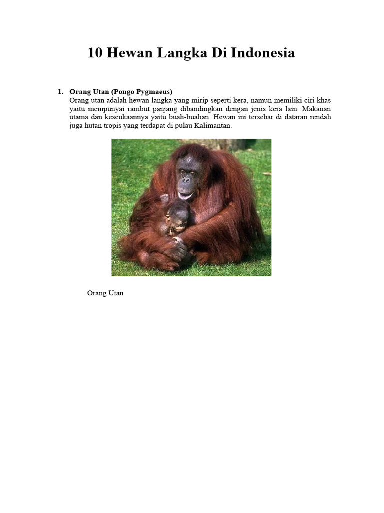 10 Hewan Langka Indonesia yang Terancam | PDF
