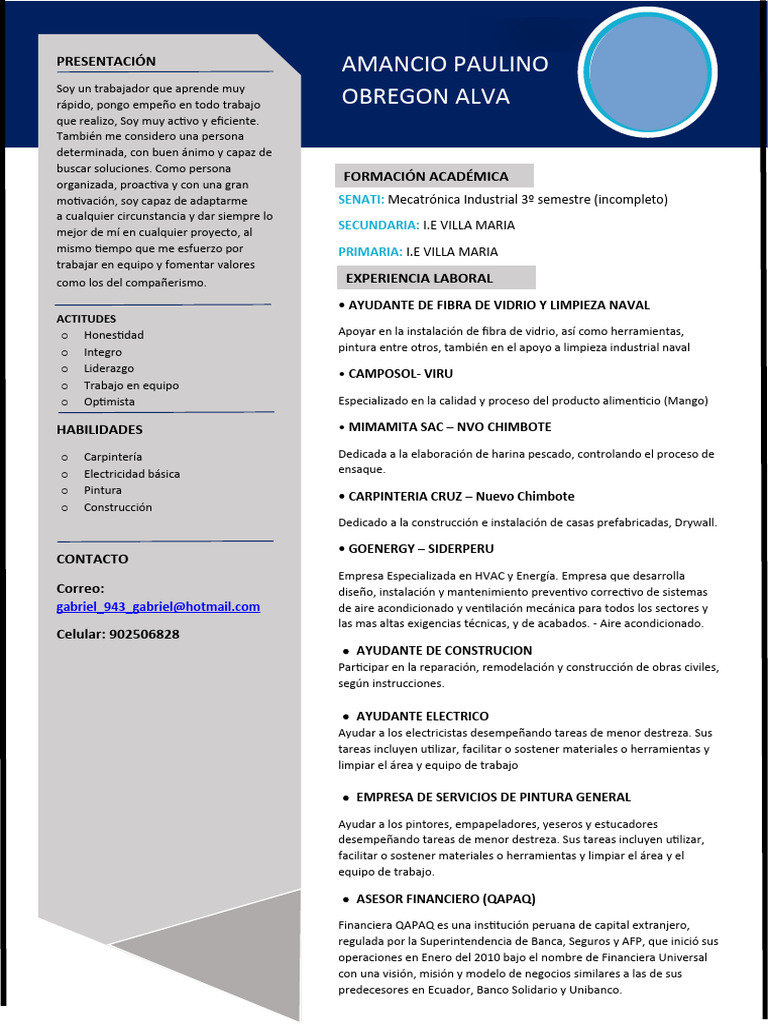 CV - Amancio Obregon Alva | PDF | Business | Economias