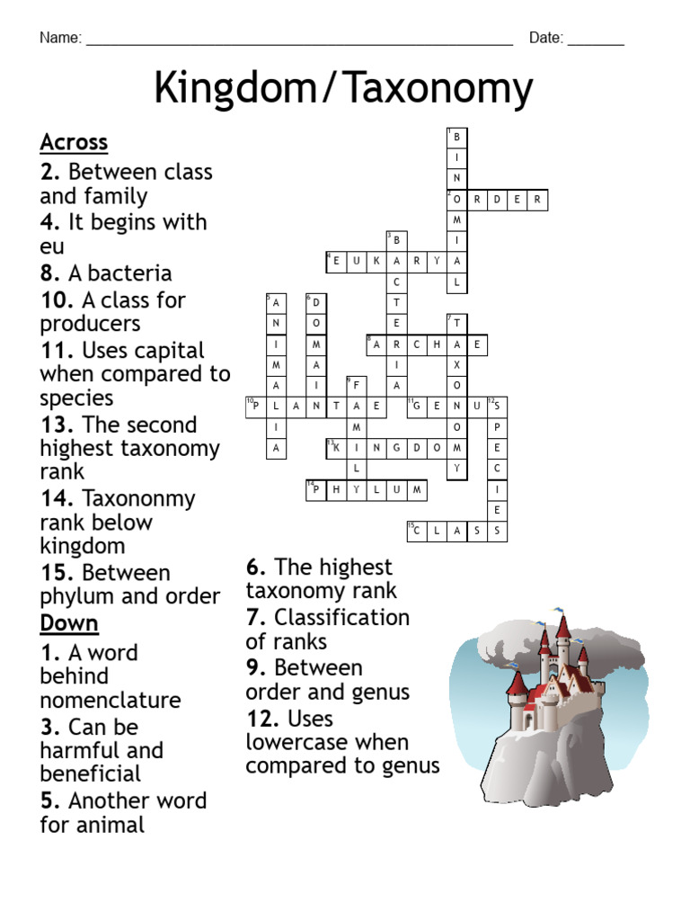 KingdomTaxonomy Answer Key | PDF | Taxonomy (Biology) | Plants