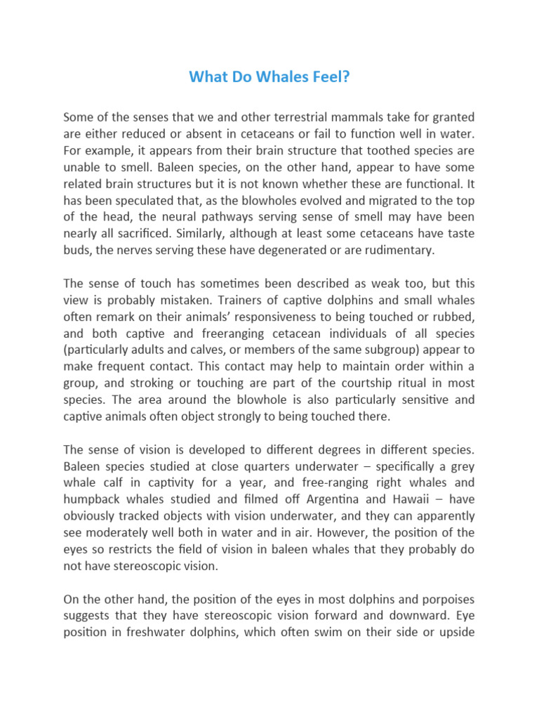 What Do Whales Feel | PDF | Cetacea | Dolphin