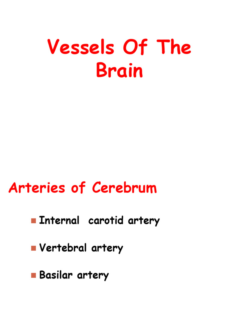 Vessels of Brain | PDF | Cerebrum | Vein