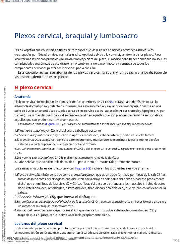 Plexos Cervical, Braquial y Lumbosacro | PDF