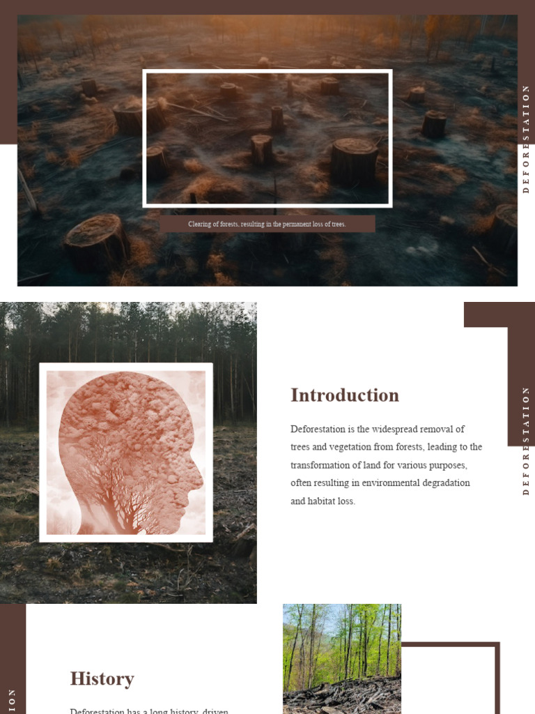 703588-Deforestation PowerPoint Templates | Download Free PDF ...