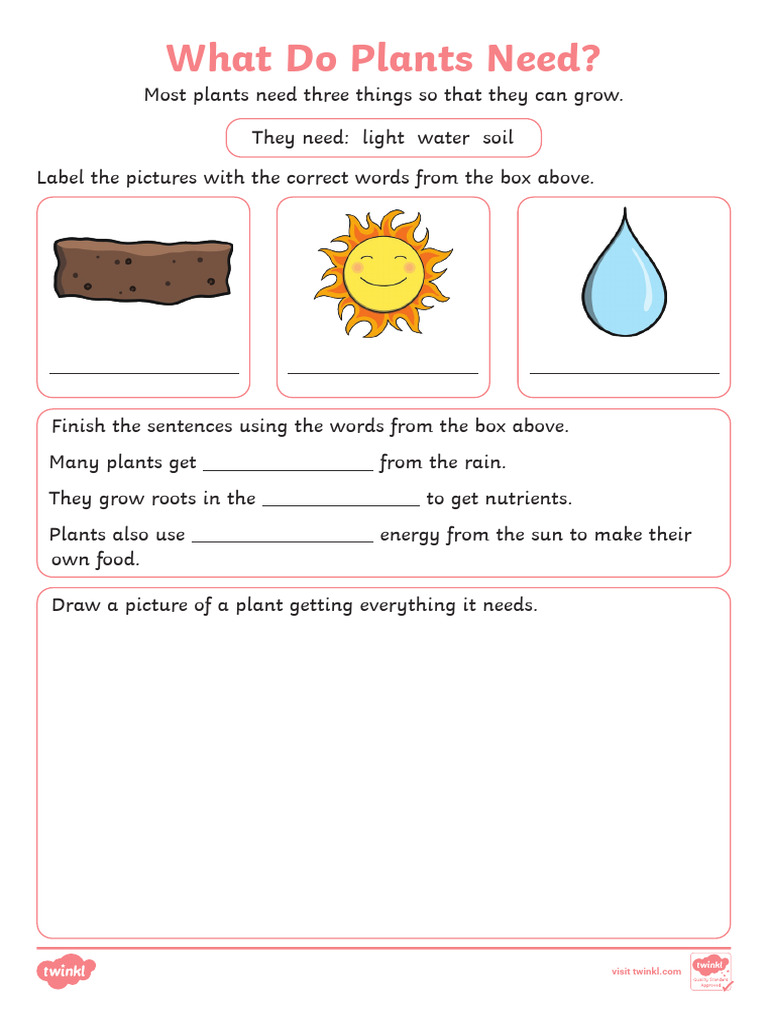 Essential Needs of Plants Explained | PDF