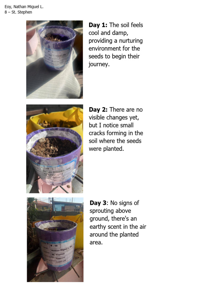 Plant Observation Eoy | PDF | Home & Garden | Science & Mathematics