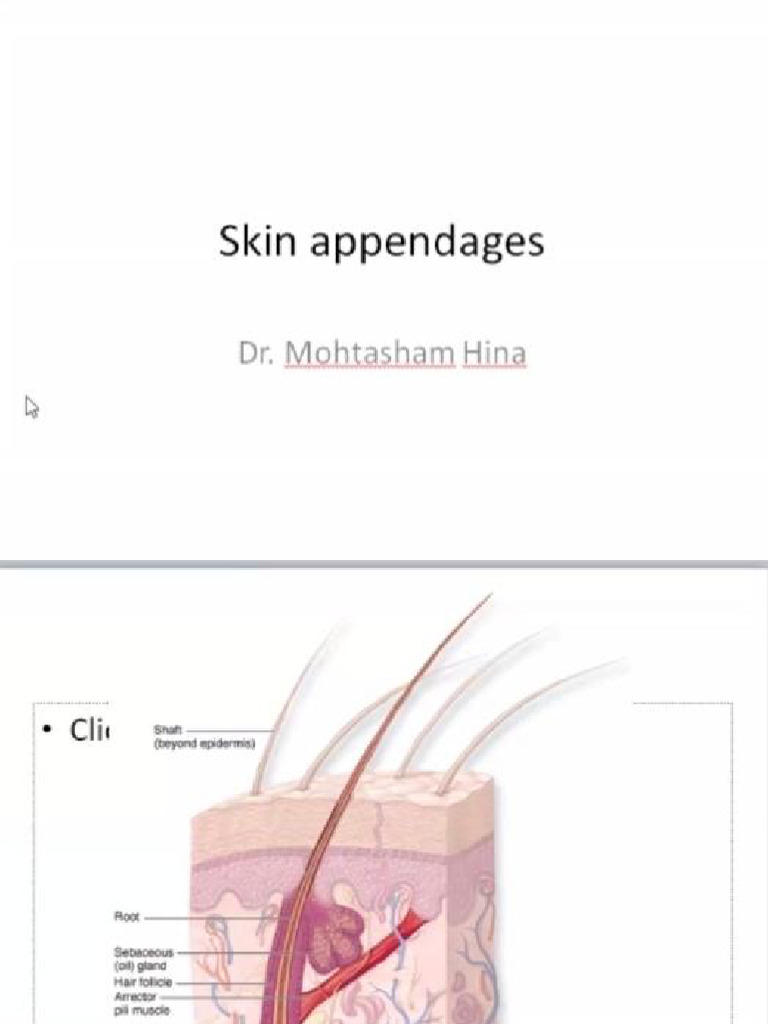 Skin Appendages | PDF