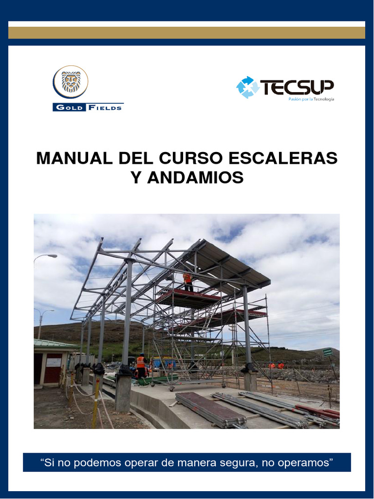 Manual de Escaleras y Andamios | PDF | Andamio | Escalera