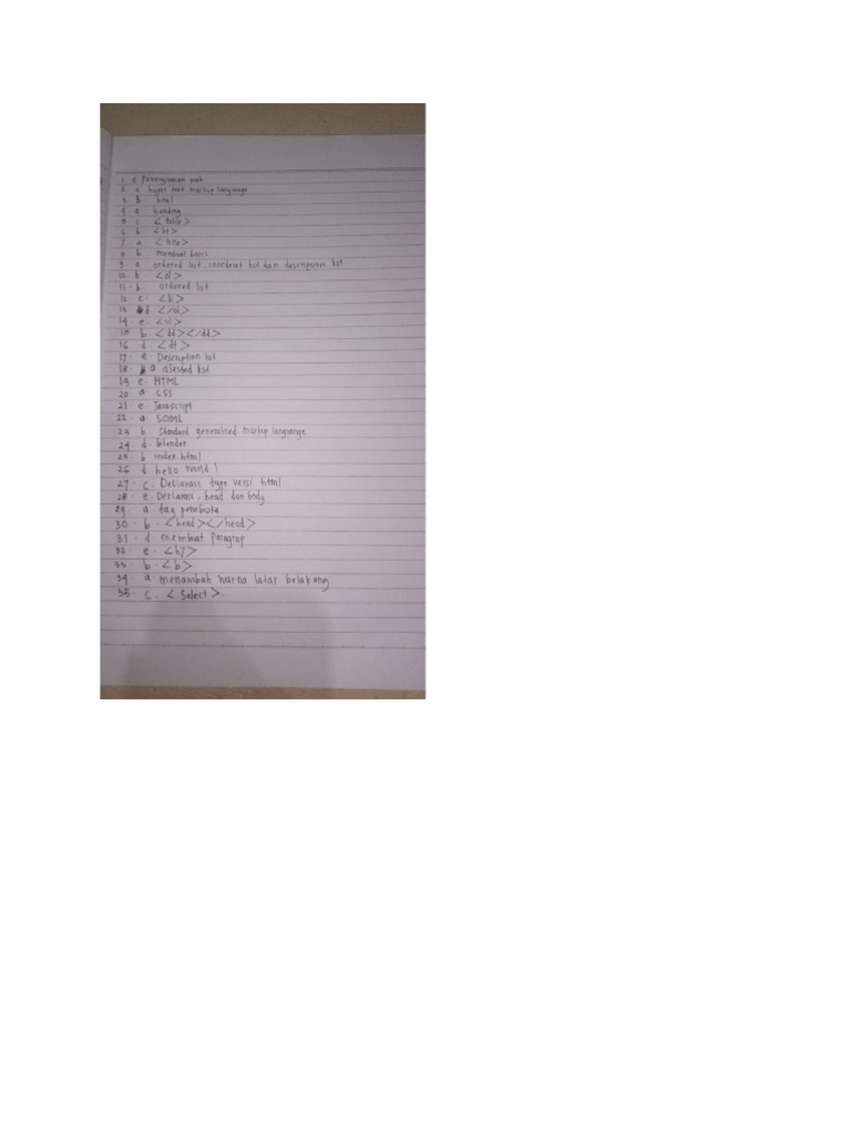 Novivarera XI RPL 1 | PDF