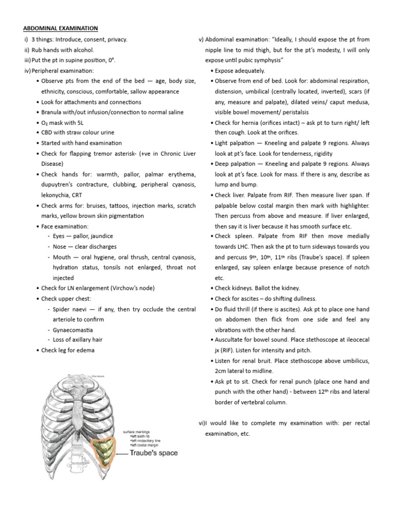 Pe Script | PDF | Vein