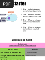 Specialised Animal Cells - Living Organisms - KS3 Biology - BBC ...