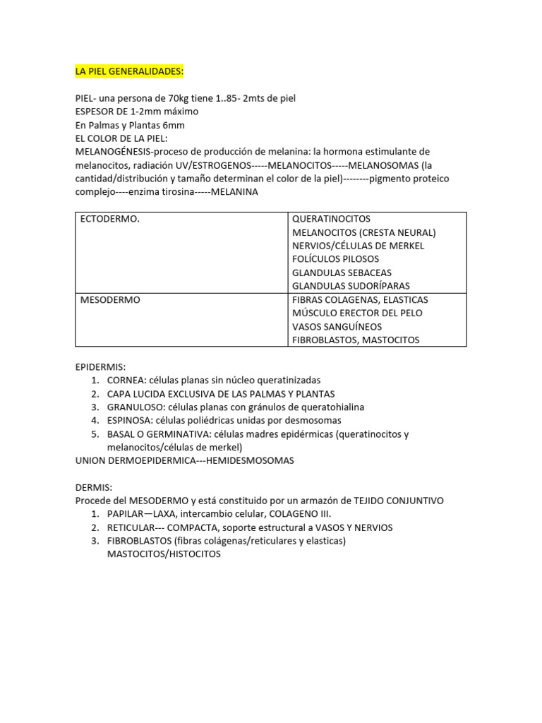 Guia Derma 1er Parcial | PDF | Epidermis | Piel