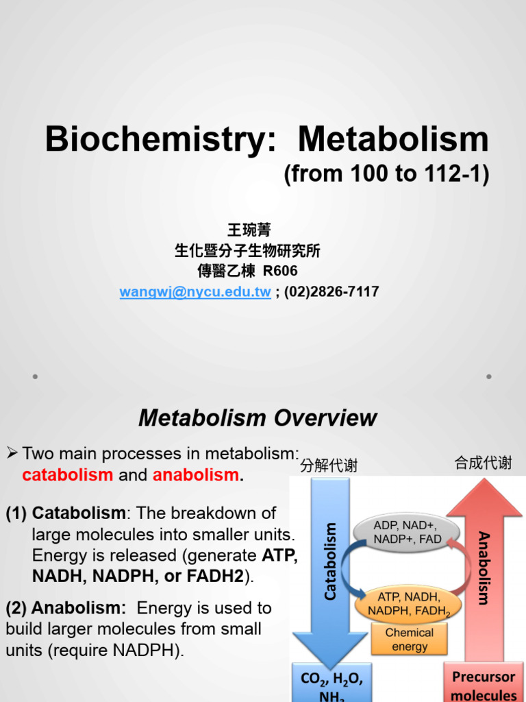 Summary of Metabolism 2023 | PDF | Wellness | Science & Mathematics