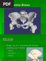 Palpation Techniques for Lower Extremities | PDF | Foot | Knee