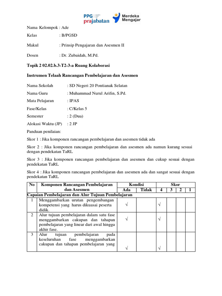 Telaah RPP dan Asesmen SD | PDF