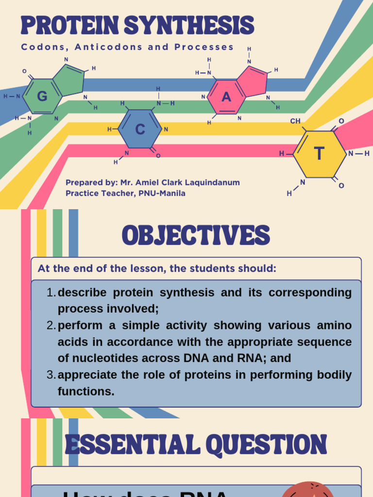 Protein Synthesis | PDF | Translation (Biology) | Rna