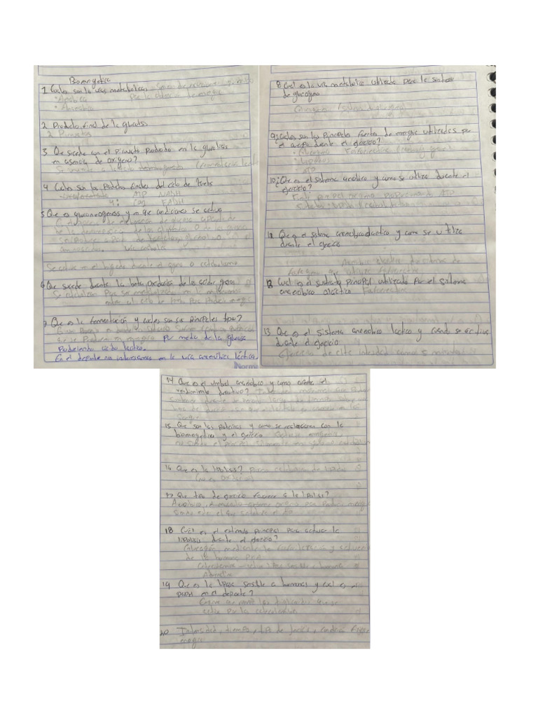 Cuestionario Parcial 2 escrito | PDF