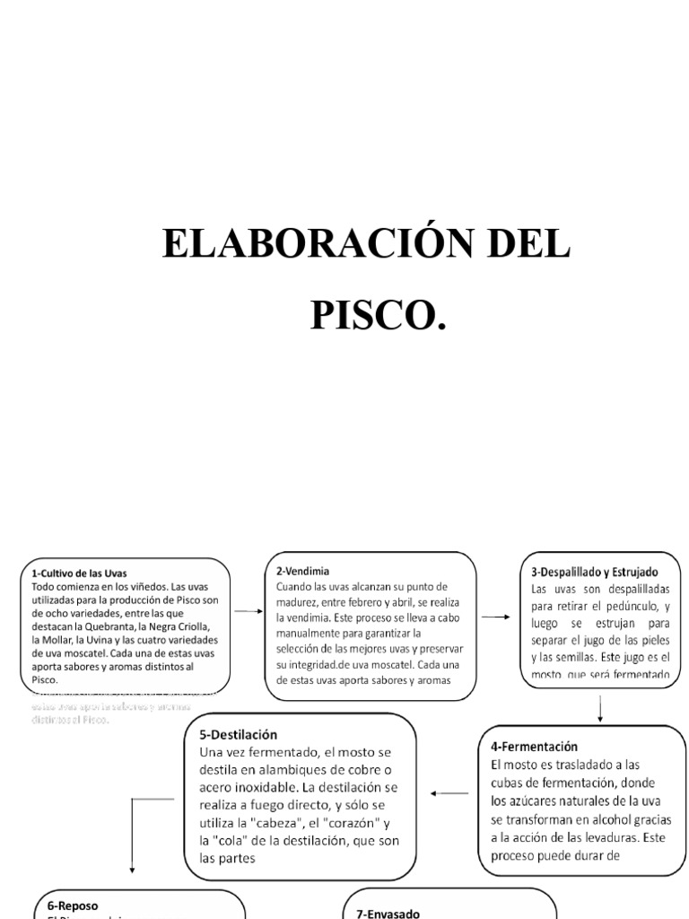 ELABORACIÓN DEL PISCO | PDF