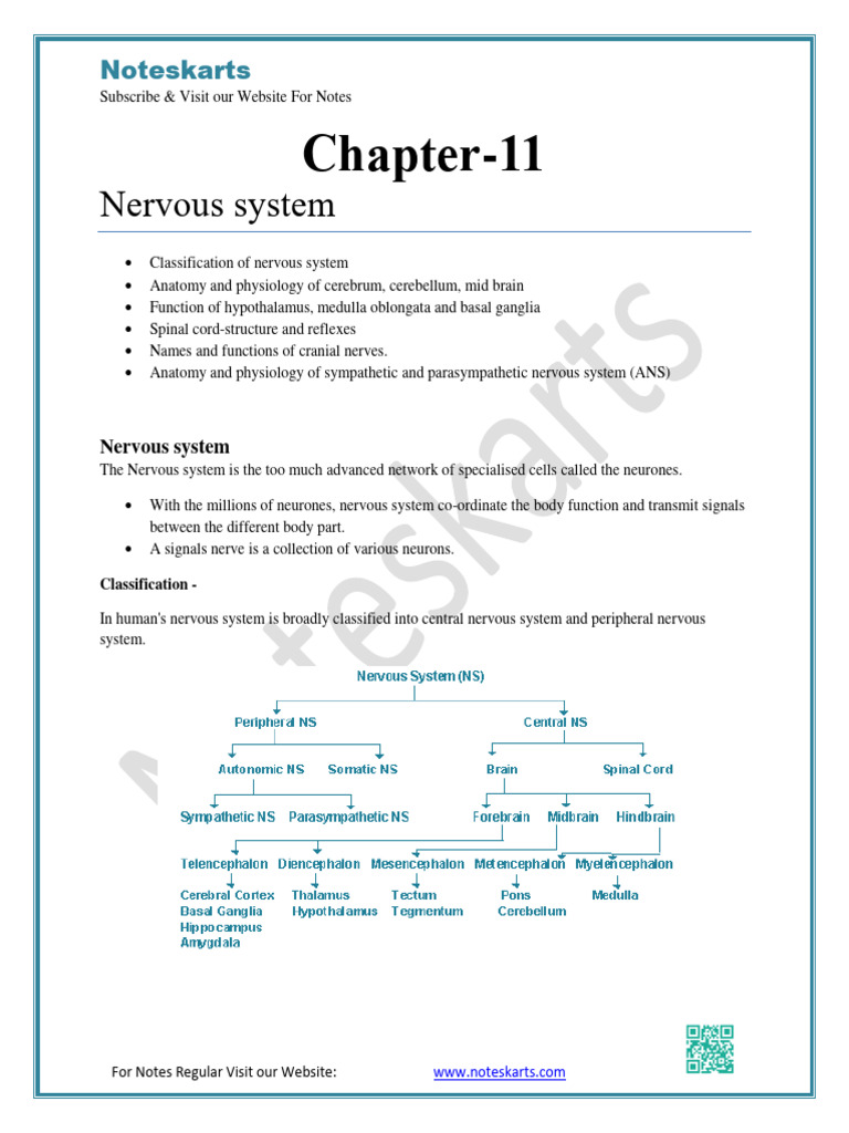 Chapter 11 Hap Complete Notes by Noteskarts Acc To ER20 | PDF | Central ...