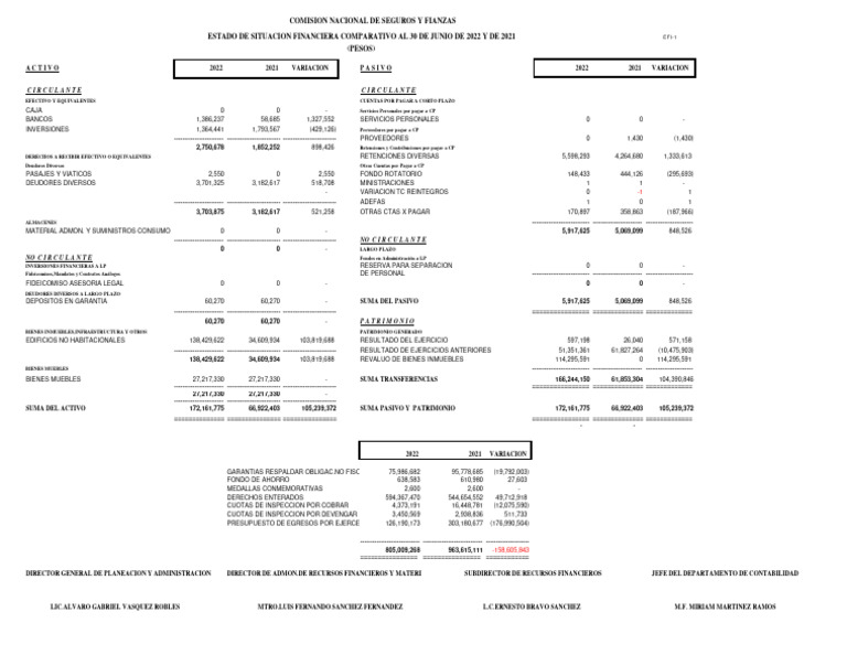 Balance Gral Jun 2022 y 2021 | PDF
