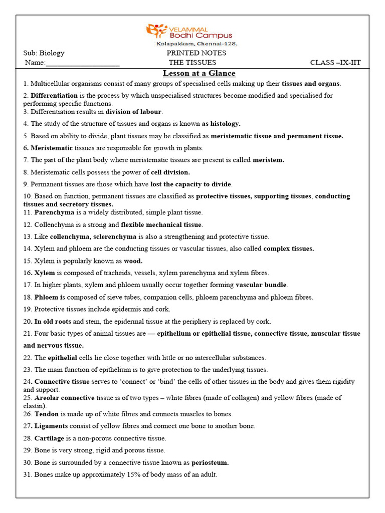 Tissues - Notes | Download Free PDF | Tissue (Biology) | Muscle