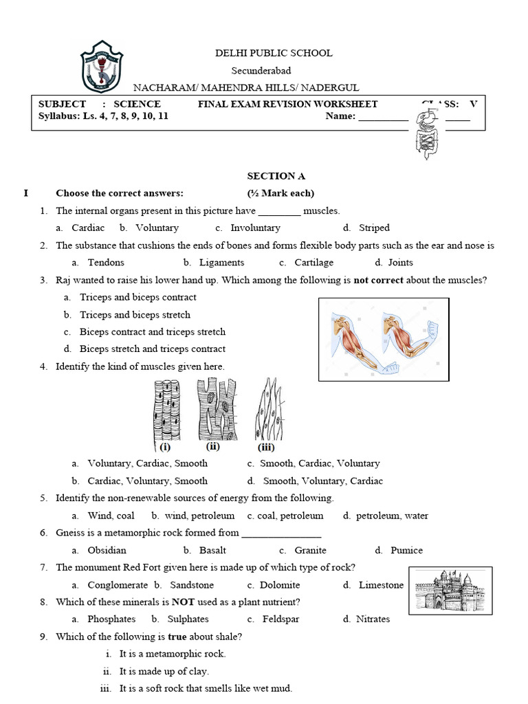 Final Exam - Revision Question Bank - Class 5 - 2023-24 | PDF | Rock ...