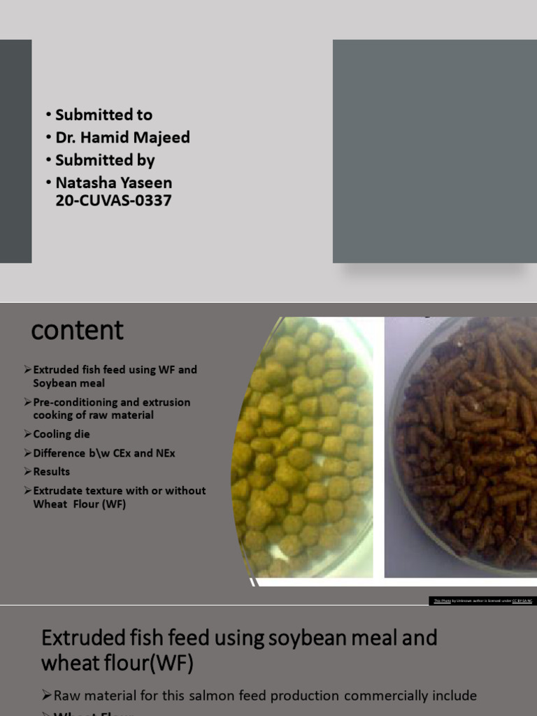 Fish Feed Extrusion | PDF | Extrusion | Flour