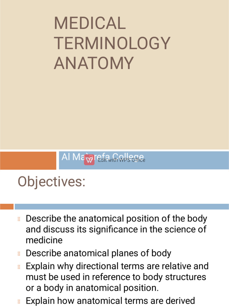 Terminology | PDF