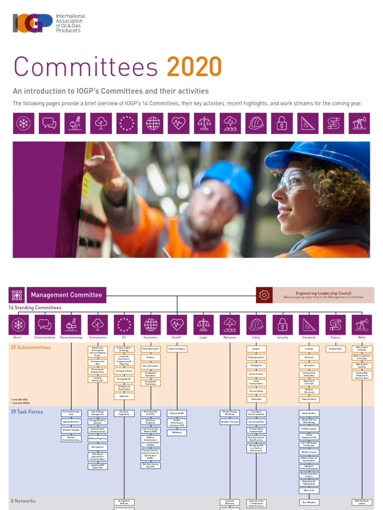 IOGP Committees Overview 2020 | PDF | Natural Environment | European Union