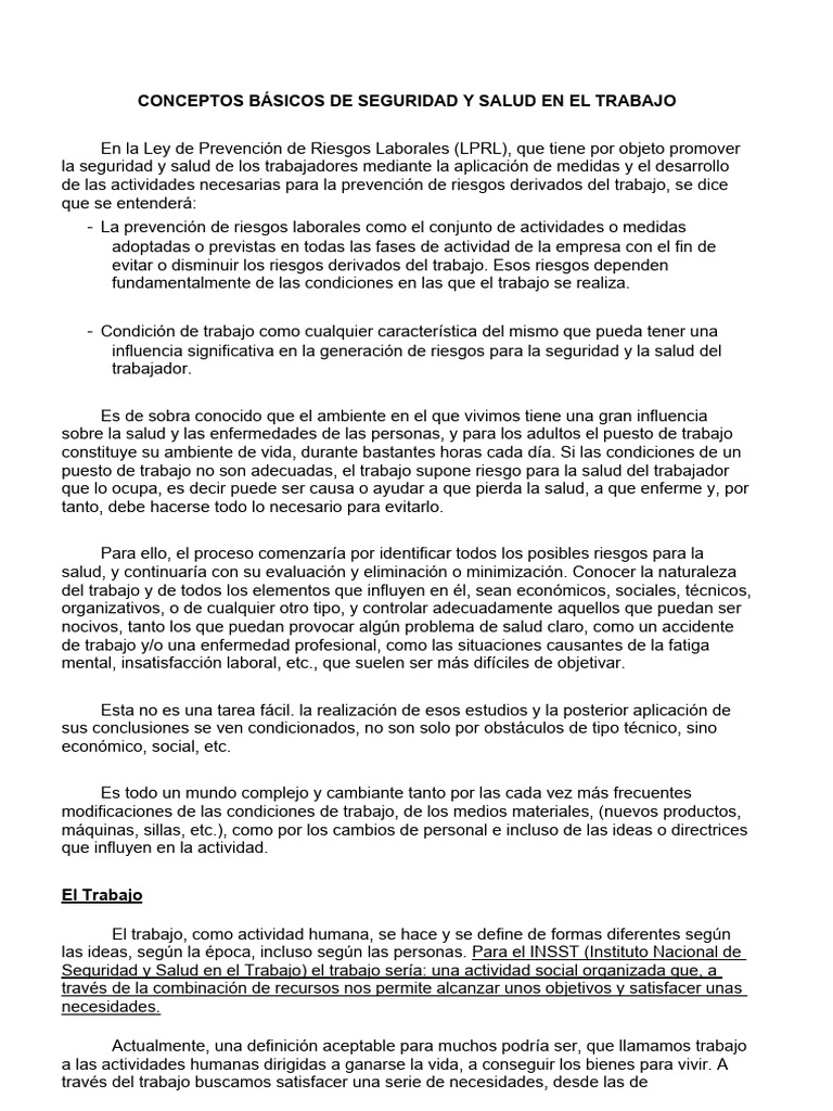 TEMA 2 Conceptos Básicos | Descargar gratis PDF | Riesgo | Empleo