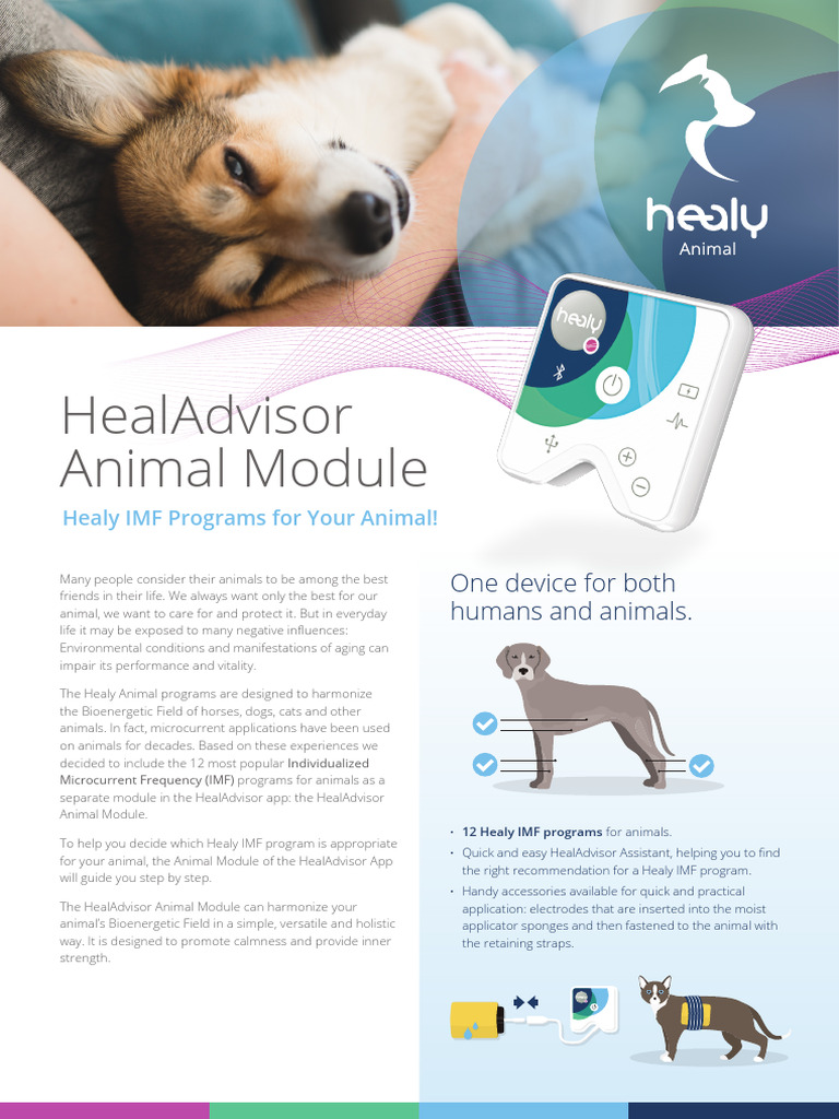 Healy World Flyer Animal en IN | PDF | Computing | Information Technology