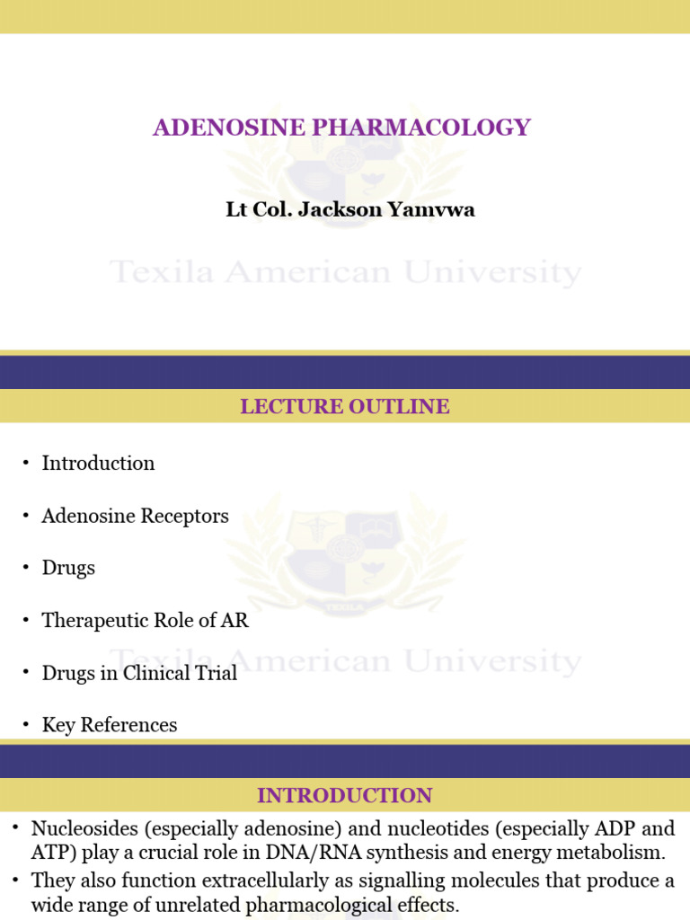 Adenosine Pharmacology | PDF | Neurotransmitter | Neurochemistry