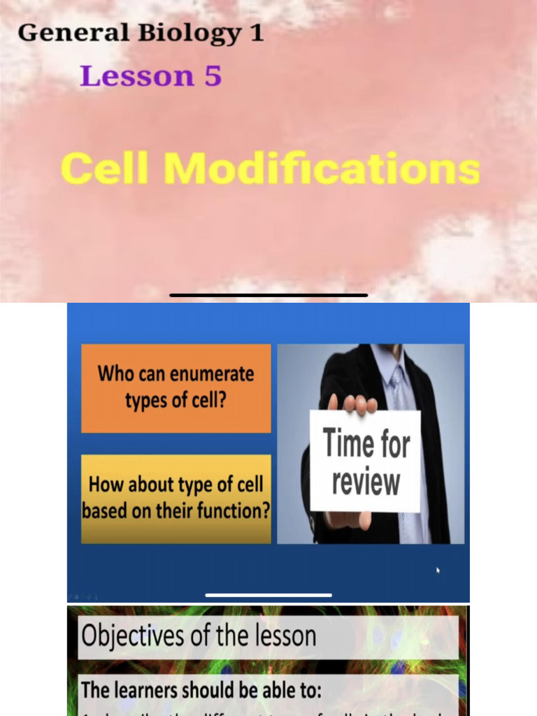 Cell Modification | PDF