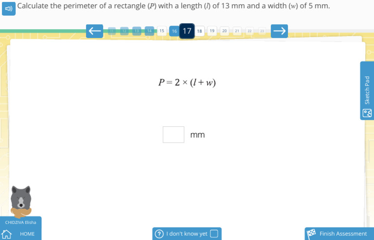 Essential Assessment - Student Page - Australian | PDF