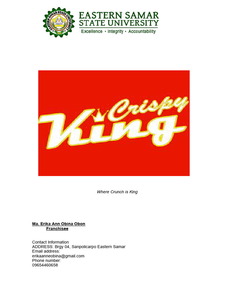 Business Plan Erica Anne1 | PDF | Franchising | Expense