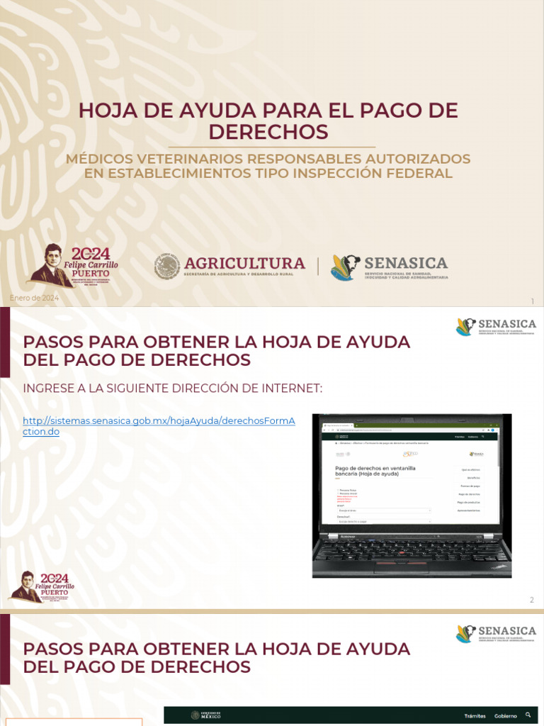 Hoja de Ayuda para Pago de Derechos 2024 | PDF | Derecho