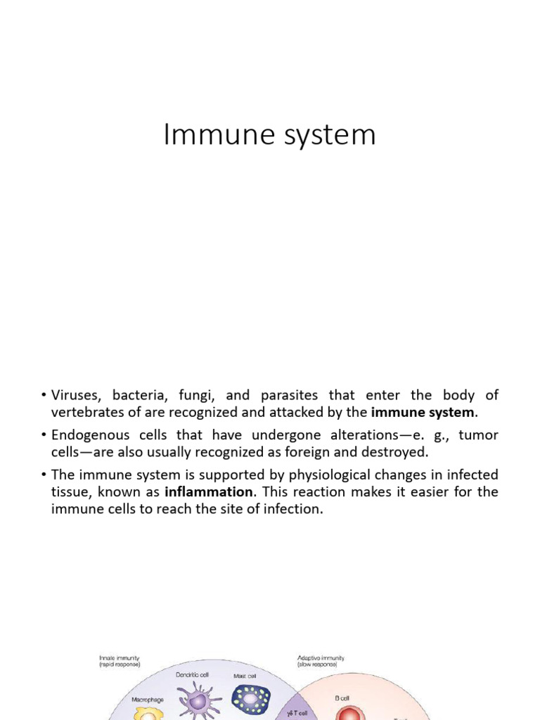 Immune System | Download Free PDF | Immune System | Antigen