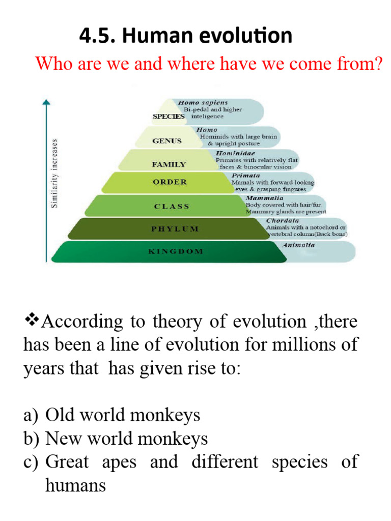 4.5. Human Evolution | Download Free PDF | Human Evolution | Homo